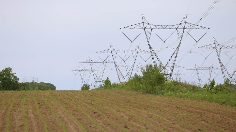 Inquiétude sur la Côte-Nord au sujet du projet de ligne Micoua-Saguenay