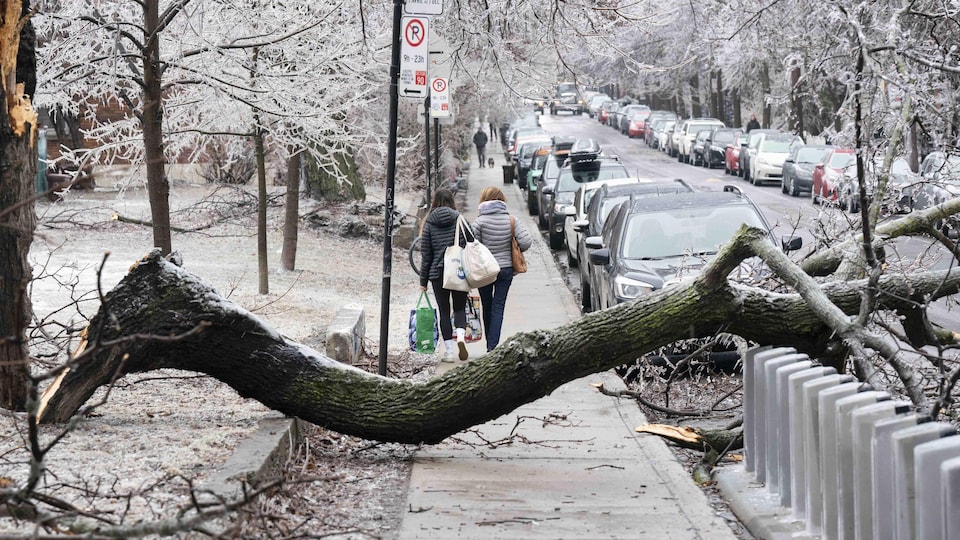 Plus de verglas avec les changements climatiques? | Radio-Canada.ca