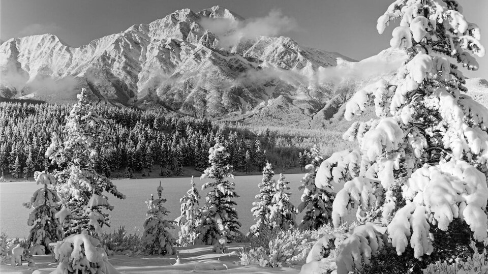 Les gens de l'Ouest : des photos de la vie au milieu des années 1900 ...