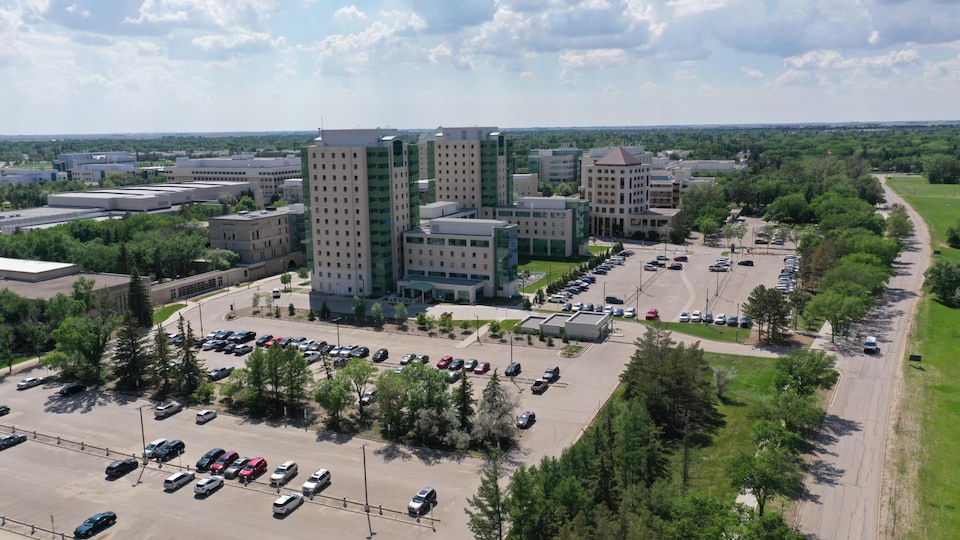 Quels sont les cours et programmes en français à l'Université de Regina?