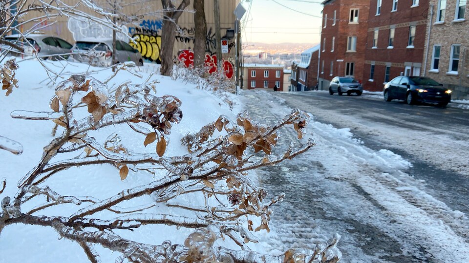 Le verglas a plongé dans le noir des milliers de clients | Radio-Canada.ca