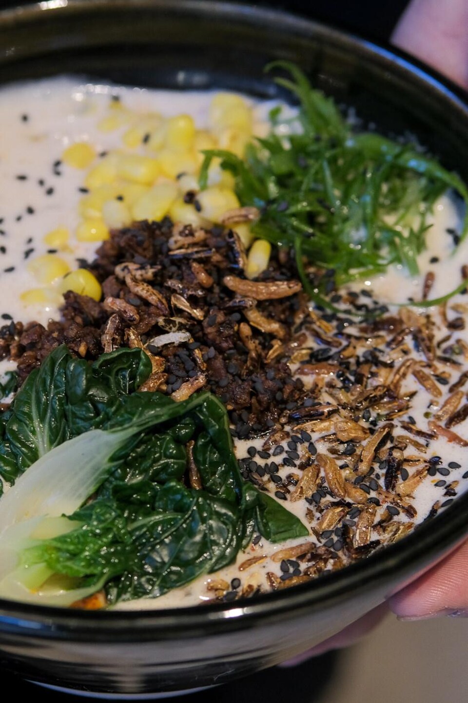 Rigueur artistique dans la cuisine du Honō Ramen | Radio-Canada.ca