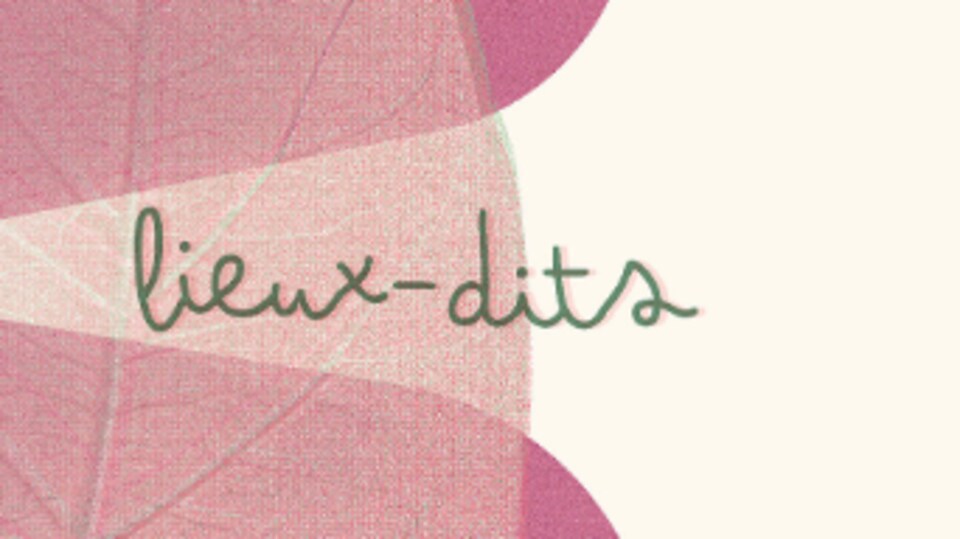 L'écriture au féminin chez Prise de Parole