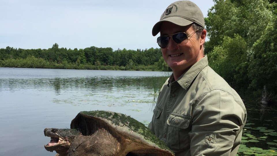 Protéger la vie animale en ville, une tortue à la fois