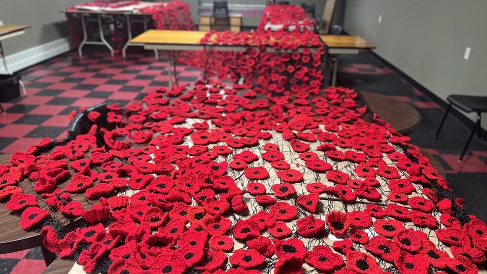 Le coquelicot du 11 novembre et les autres fleurs symboliques