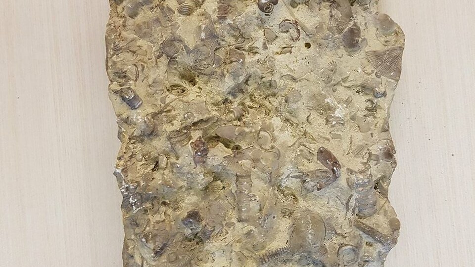 Le calcaire présenté par l'enseignant Alexandre Jean