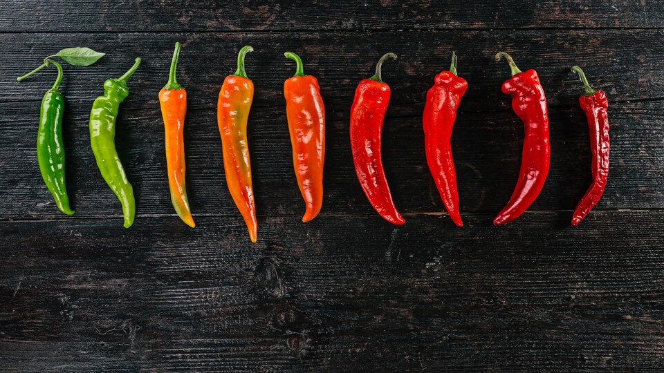 D'où vient la sensation de brûlure quand on mange piquant?