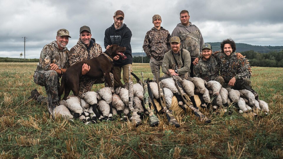 La chasse aux oiseaux migrateurs : les bonnes pratiques