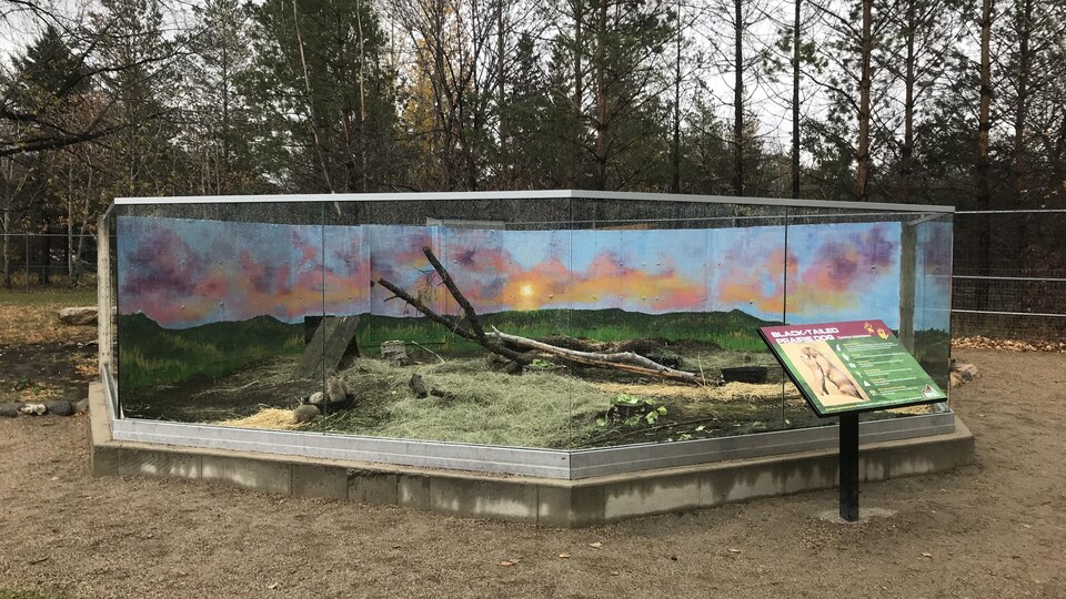 Le zoo de Saskatoon reconnu lors de la remise des prix d'excellence de ...