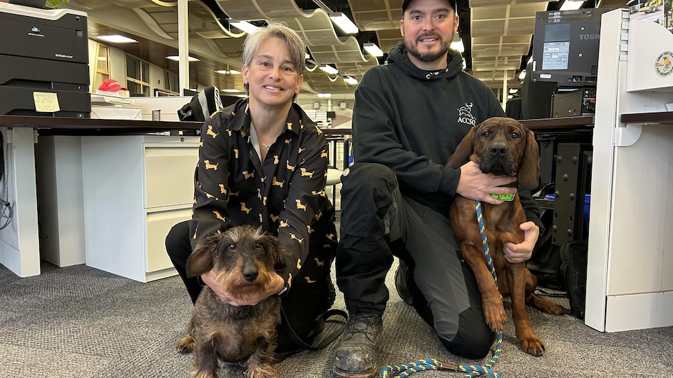 L'utilité des chiens de sang en période de la chasse