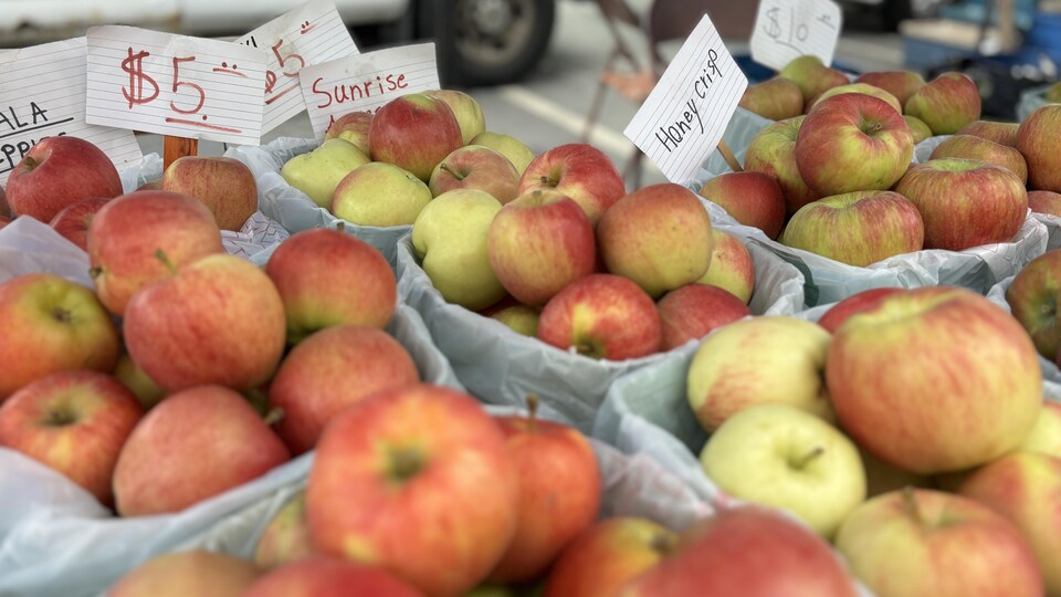 Les agriculteurs de la vallée de l’Okanagan sont à bout de souffle