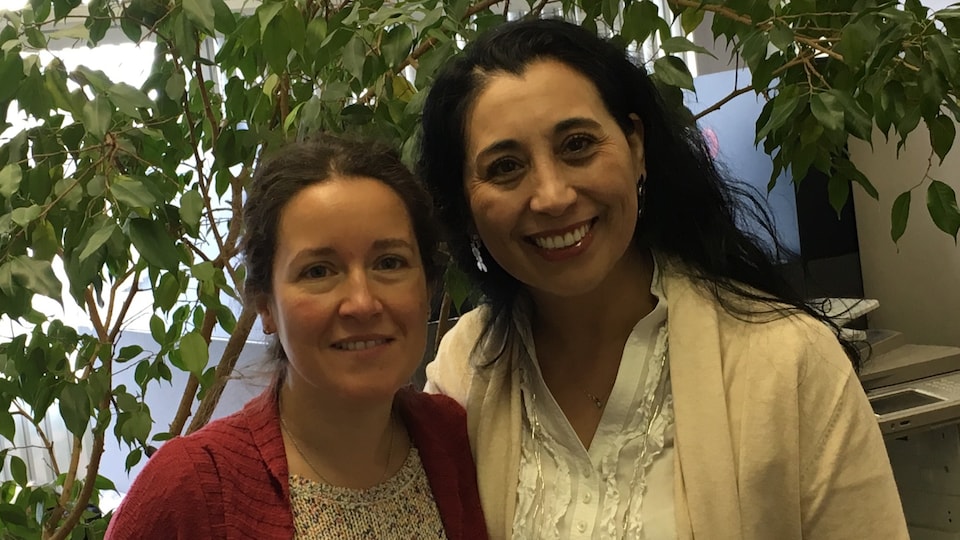 Rencontre avec la diversité culturelle : Le Chili, une folie ...