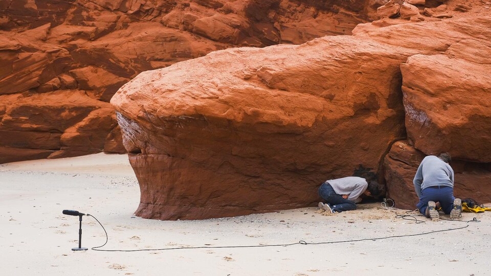 Les interstices (espaces de temps) : une résidence d'explorations ...