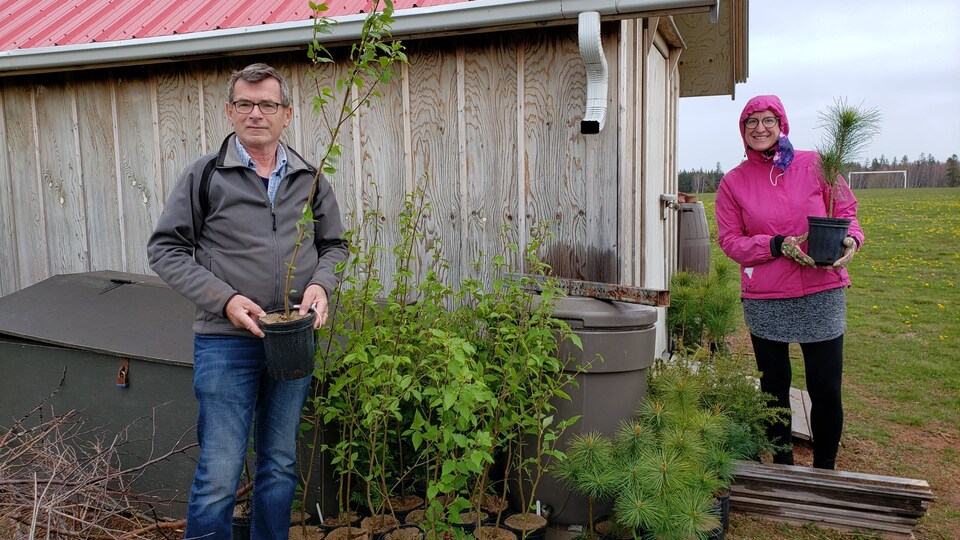 À Rustico, les enfants plantent des arbres pour restaurer la forêt ...