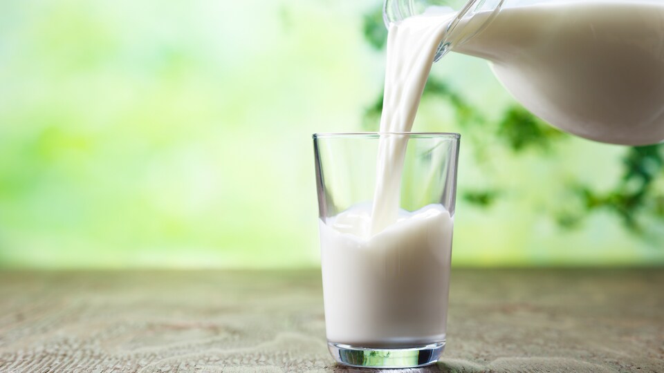 Le lait est un aliment nutritif, certes, mais il peut être remplacé par ...