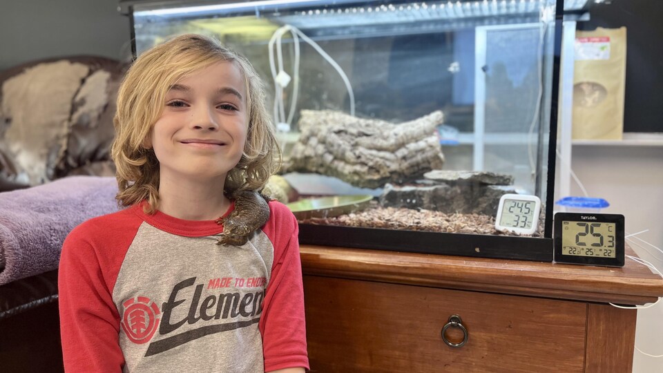 Dans la classe des lézards à l’école Bois-Joli