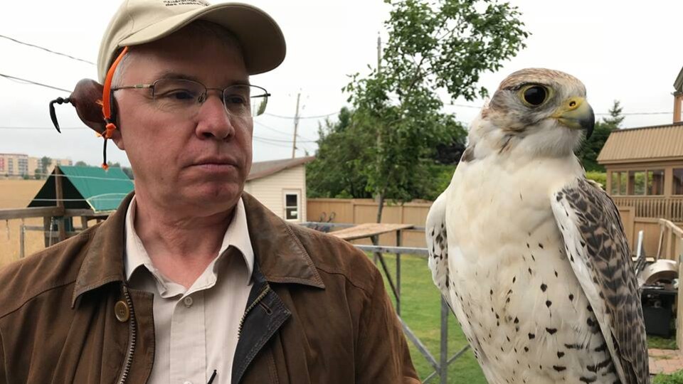 Mireille et la fauconnerie