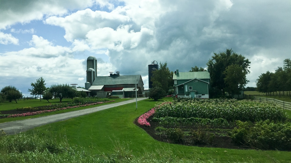 Une rare visite des fermes amish en Ontario