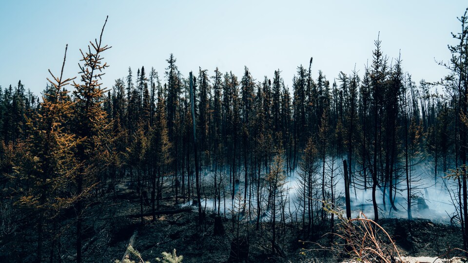Des nouvelles des localités québécoises menacées par les feux