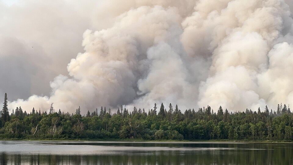 Feux de forêt: état des lieux dans l'Est