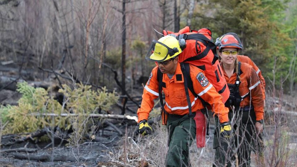 Feux de forêt sur la Côte-Nord : le rôle d’une équipe de gestion de ...