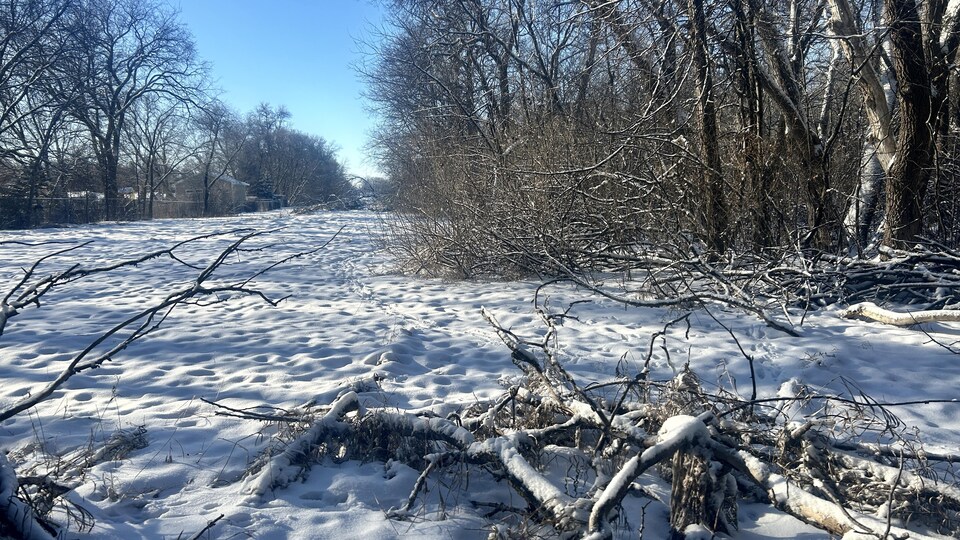 Quelle marche à suivre au cas où des tombes sont découvertes dans la ...
