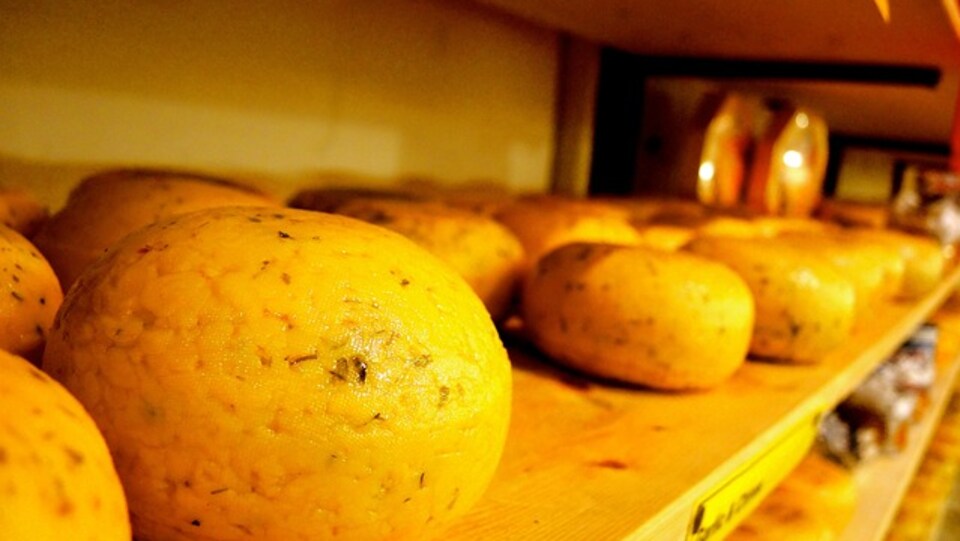 Du fromage aux algues du Québec