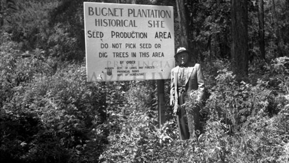 Sauver le site historique de la Plantation Bugnet