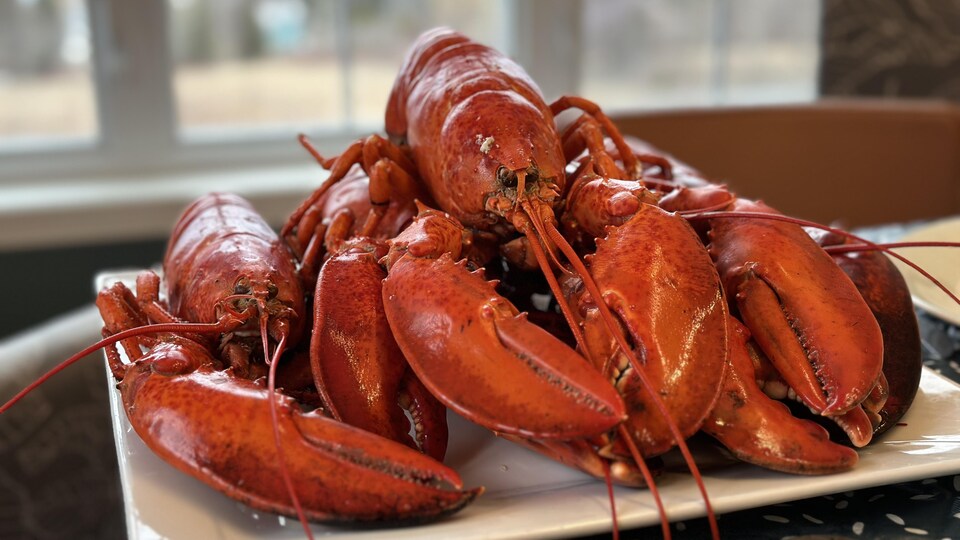 Cuisiner le homard avec le chef Adrian Pastor : cuisson, recettes ...