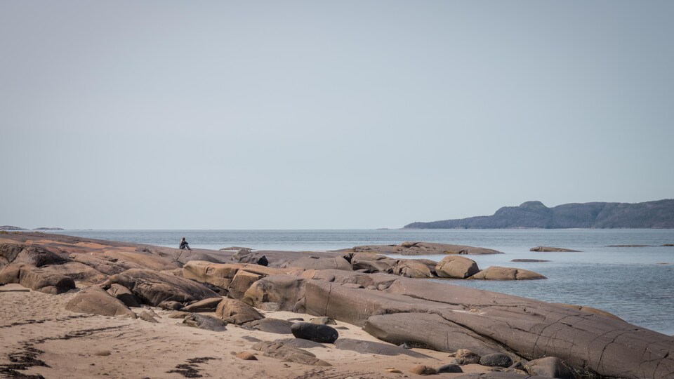 Journée Jurassique à l'Île Grande Basque et balade sur le Lac des Rapides