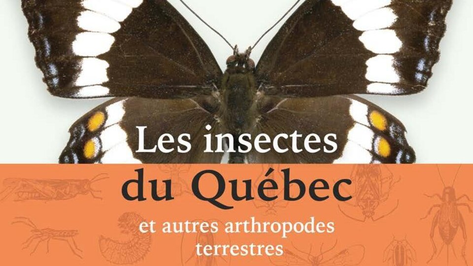 Faire partager son amour des insectes