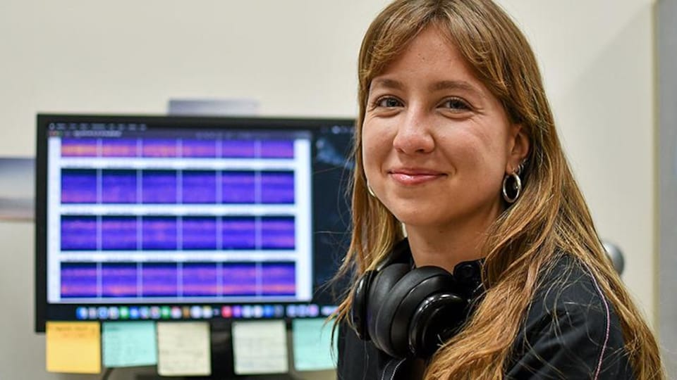 Étude sur les impacts de la voie maritime sur les mammifères marins