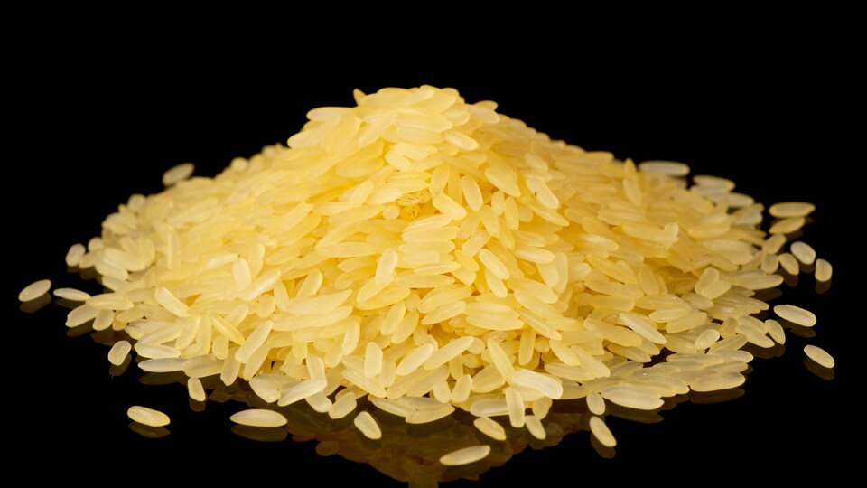 Le riz doré, un aliment controversé