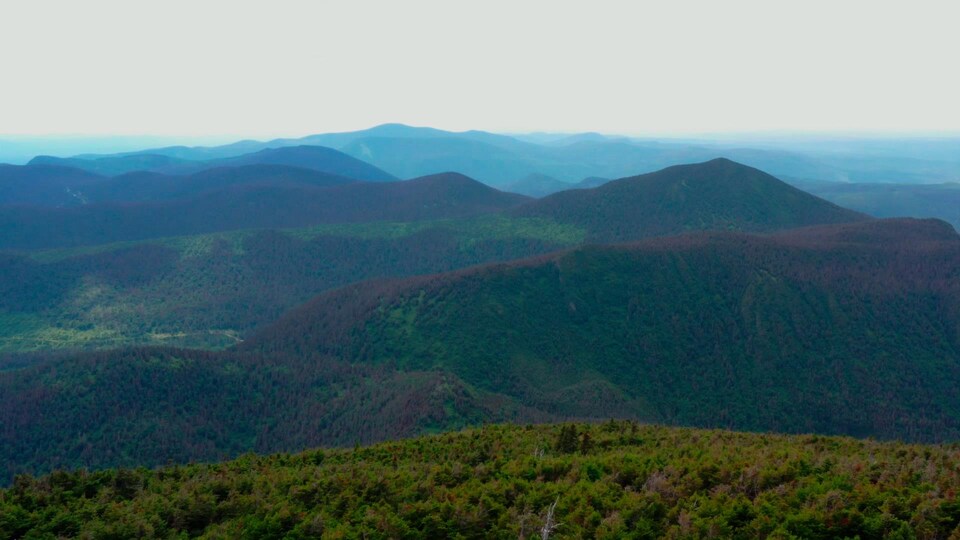 Un plan de développement pour le tourisme dans les Chic-Chocs