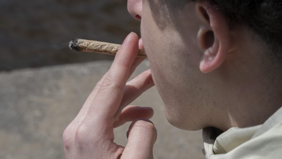 5 ans de la légalisation du cannabis récréatif au Canada