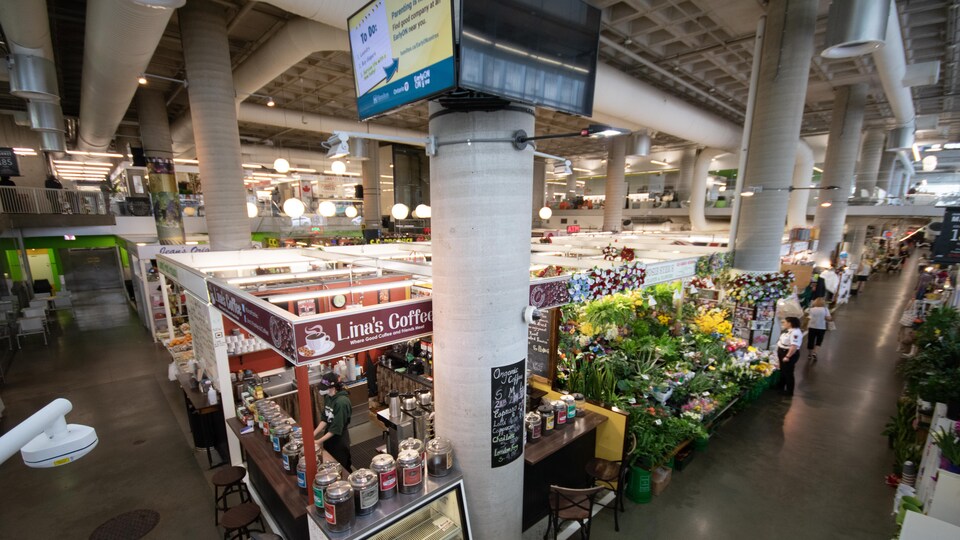 À la découverte de la ville de Hamilton