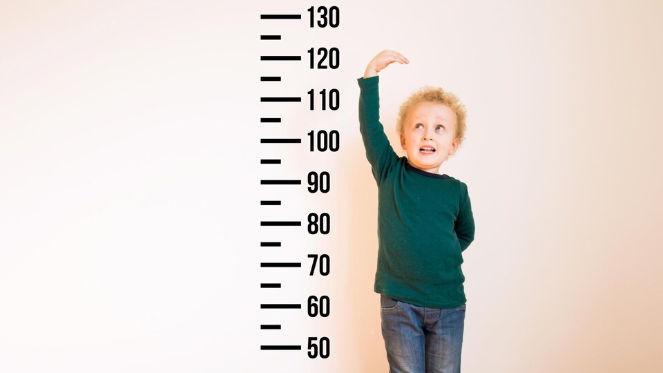 La taille du corps humain, influencée par de nombreux facteurs