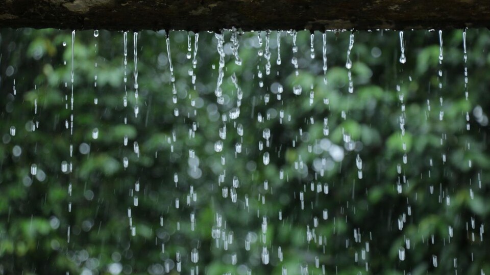 La meilleure façon de se mettre à l'abri de la pluie sans se faire trop ...