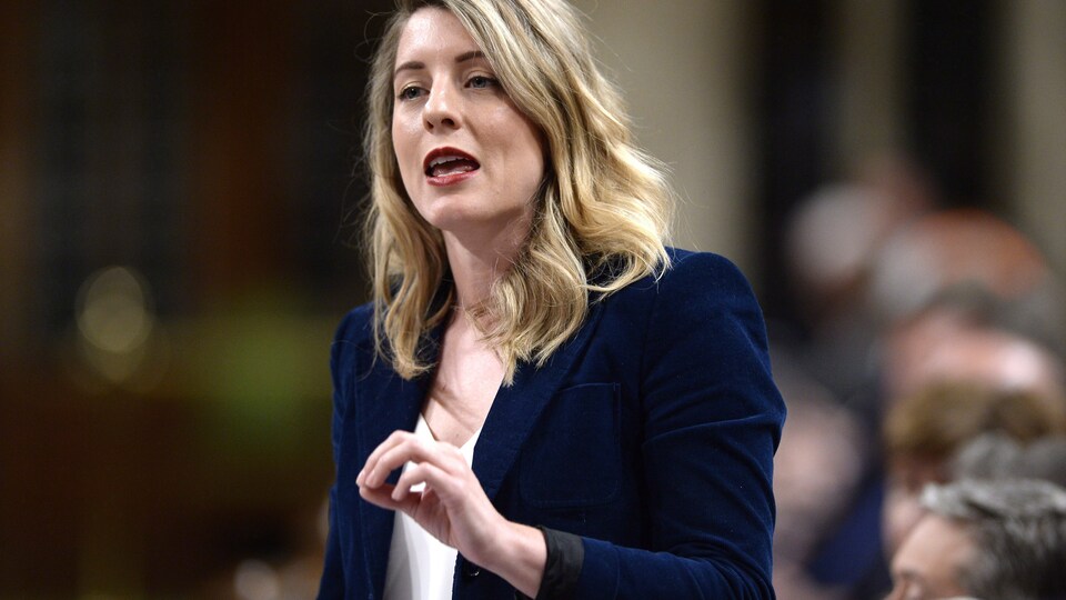 Nouveaux médias : pas de réforme des lois avant 2020