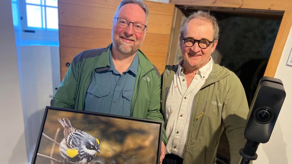 Une galerie virtuelle de photographies animalières