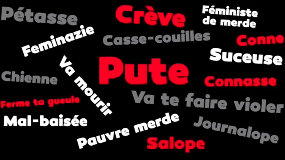 Un Portrait Du Harcèlement Dont Souffrent Les Femmes Sur Internet