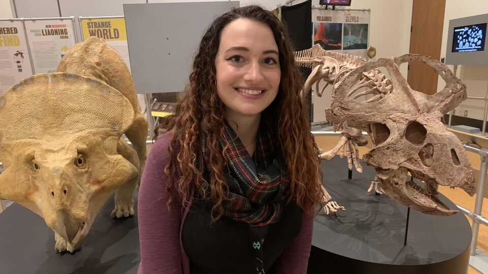 Les dinosaures à l'honneur au Musée Chimczuk