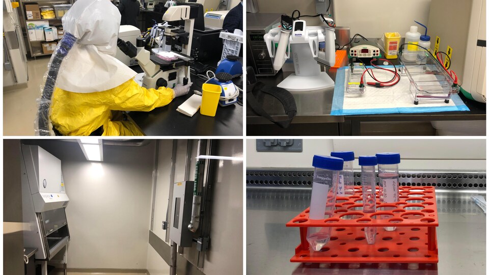 Un nouveau laboratoire pour la recherche sur le coronavirus à Québec