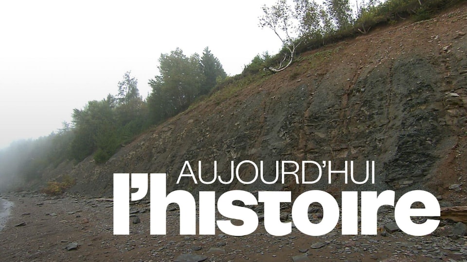 Le parc national de Miguasha, le paradis fossilifère de la Gaspésie