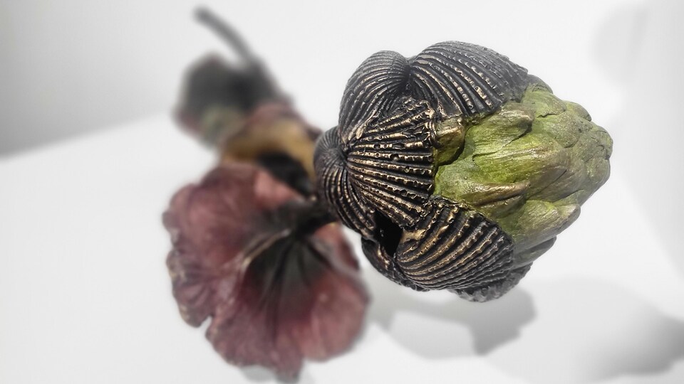 Les jardins fantastiques et inquiétants de Paryse Martin | Radio-Canada.ca