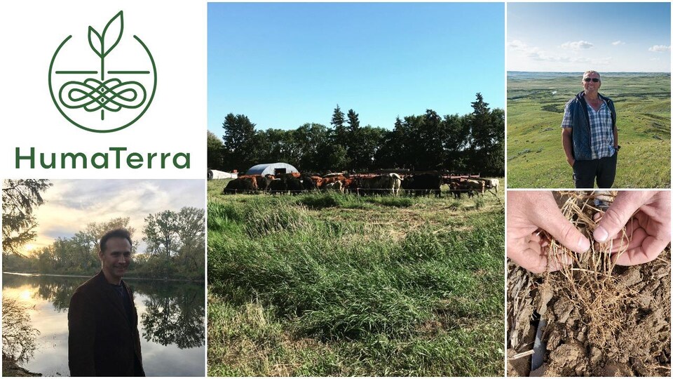 Les terres agricoles se refont une santé grâce à l'entreprise ...