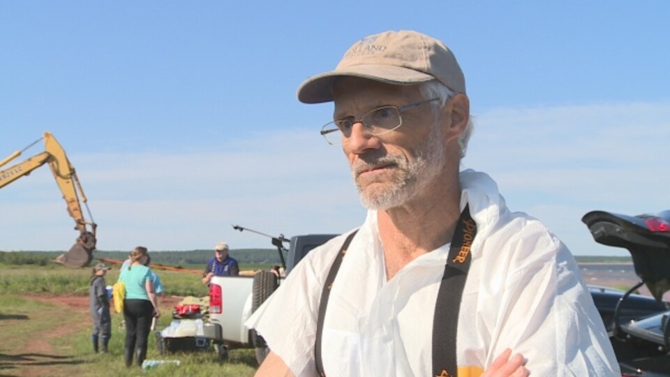 La mort de baleines noires : Un sujet important de 2017