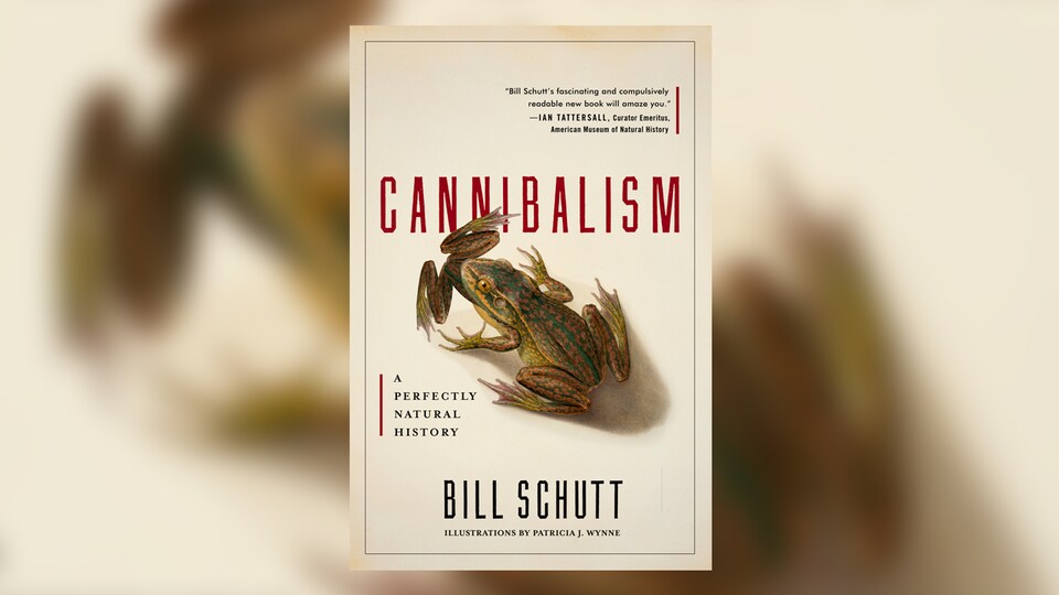 Le cannibalisme, une pratique complexe d'hier à aujourd'hui