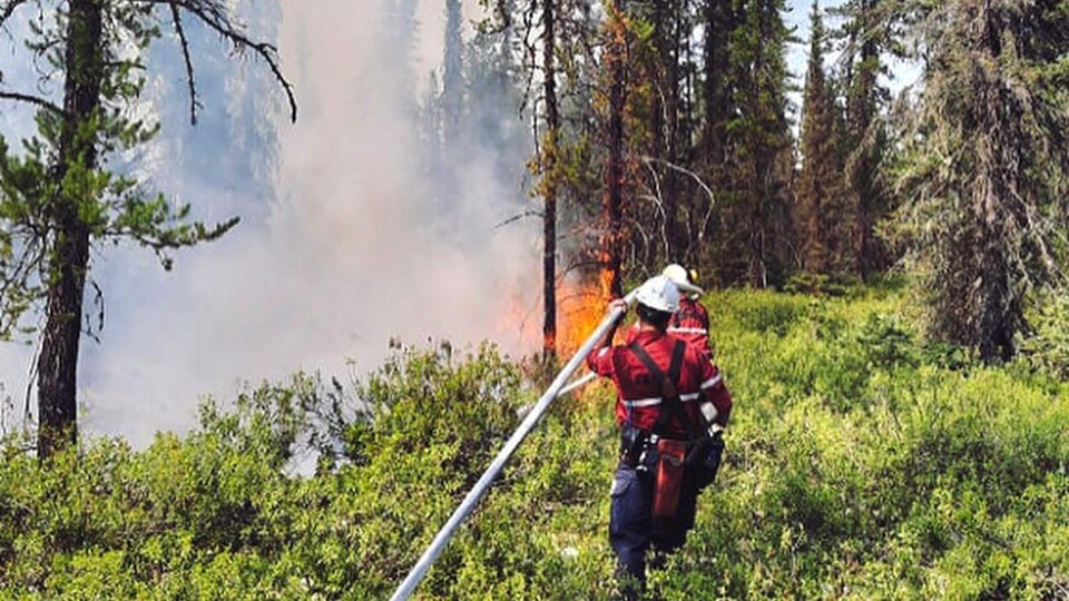 Devenir pompiers forestiers