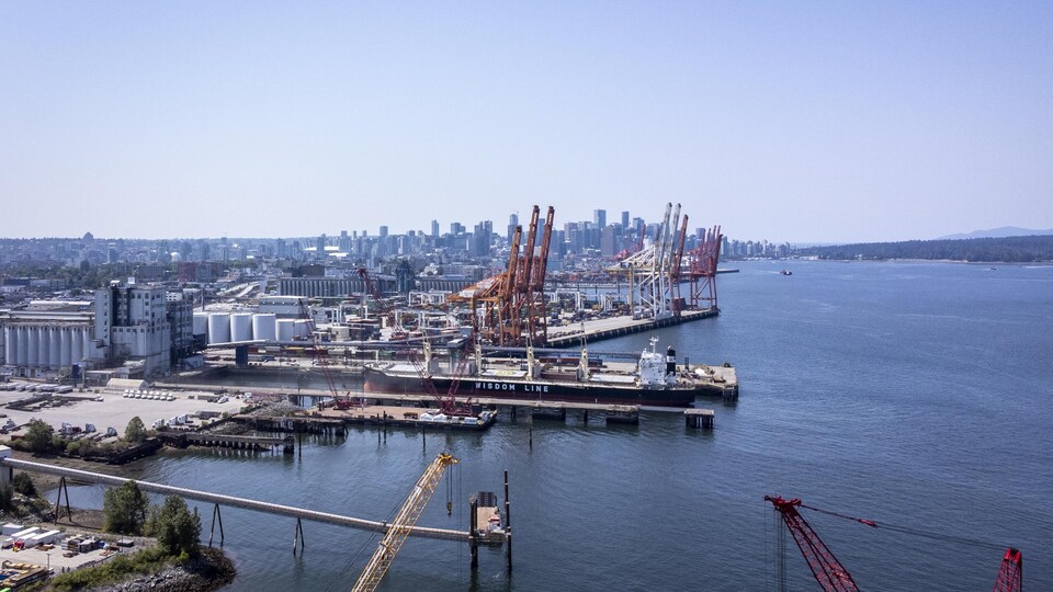 Loi Sur Le Port De L Alliance Au Travail